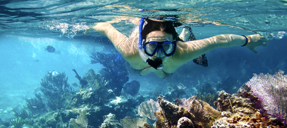 Cayo Sabinal Cuba | Cuba Hotels, Island travel guide, attractions, Cuba ...